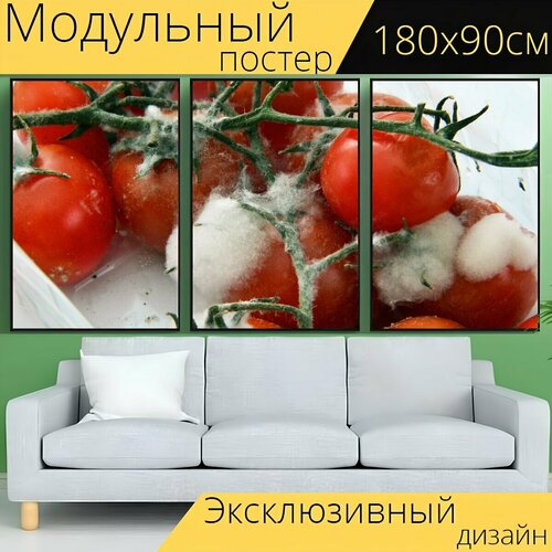 Модульный постер "Питание, помидор, здоровый" 180 x 90 см. для интерьера