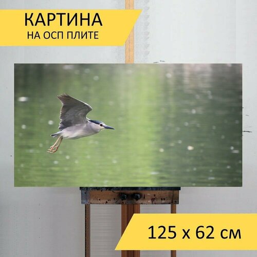 Картина на ОСП 125х62 см. "Кваква, летающий, природа" горизонтальная, для интерьера, с креплениями