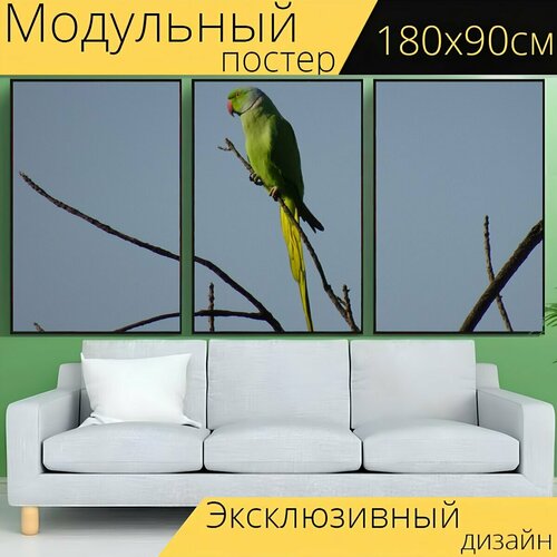 Модульный постер "Птица, попугай, зеленый" 180 x 90 см. для интерьера
