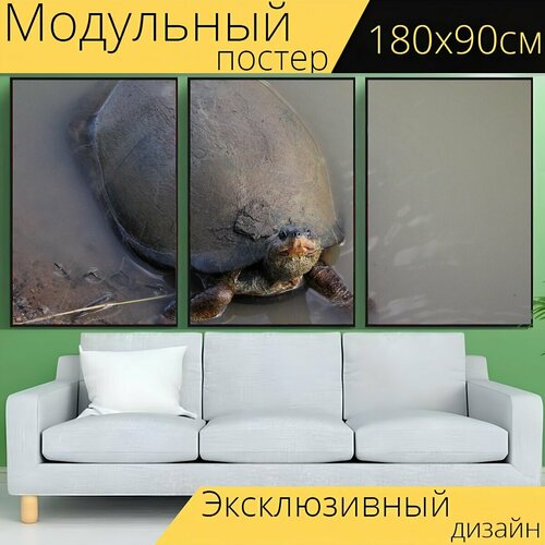 Модульный постер "Черепаха, вода, глядя вверх" 180 x 90 см. для интерьера