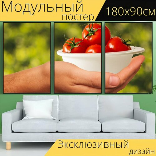 Модульный постер "Помидоры, овощи, здоровый" 180 x 90 см. для интерьера