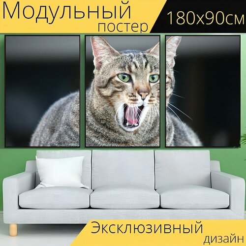 Модульный постер "Кошка, жирный кот, животные" 180 x 90 см. для интерьера