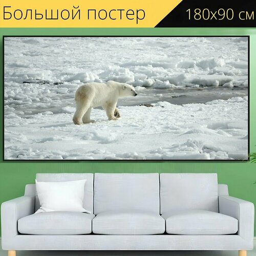 Большой постер "Полярный медведь, арктический, лед" 180 x 90 см. для интерьера