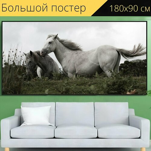 Большой постер "Лошадь, животное, белый" 180 x 90 см. для интерьера