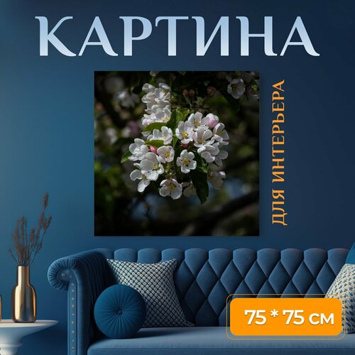 Картина на холсте "Цветение яблони, белые цветки, цвести" на подрамнике 75х75 см. для интерьера