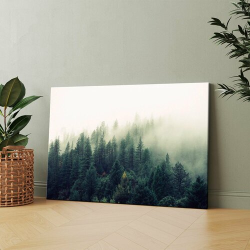 Картина на холсте (Туман в лесу) 30x40 см. Интерьерная на стену.