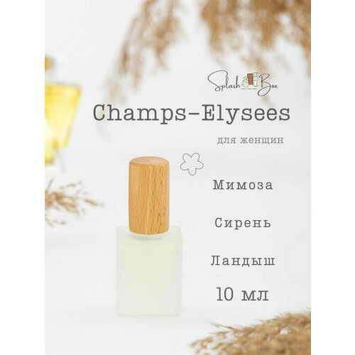 Champs Elysees духи стойкие
