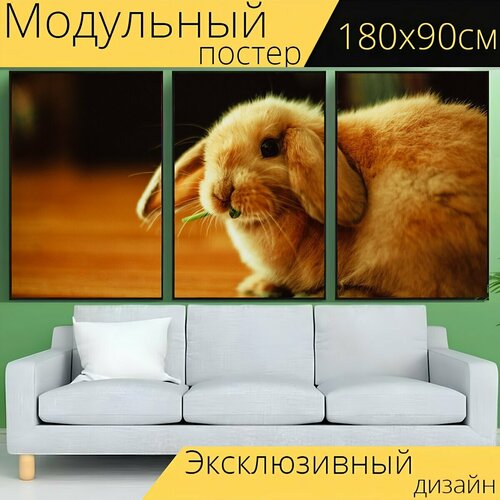 Модульный постер "Кролик, милый, пасхальный" 180 x 90 см. для интерьера