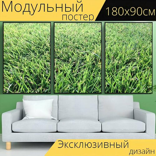 Модульный постер "Трава, поле, футбол" 180 x 90 см. для интерьера