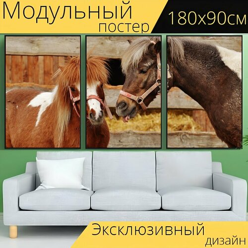 Модульный постер "Пони, спасение животных, лошади" 180 x 90 см. для интерьера