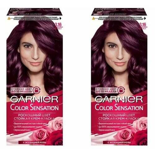 Garnier Колор Сенсейшн № 3.16 Аметист,2 шт