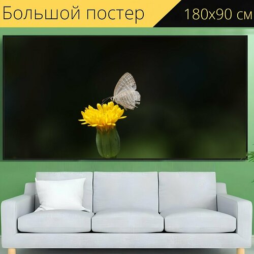 Большой постер "Цветок, бабочка, насекомое" 180 x 90 см. для интерьера