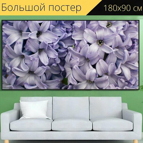 Большой постер "Фиолетовый, цветы, гиацинт" 180 x 90 см. для интерьера