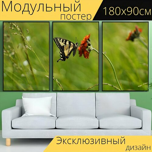 Модульный постер "Бабочка, цветок, спринт" 180 x 90 см. для интерьера