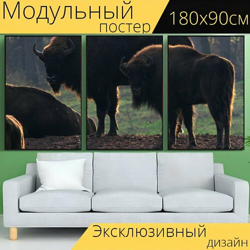 Модульный постер "Зубастик, буйвол, зубр" 180 x 90 см. для интерьера