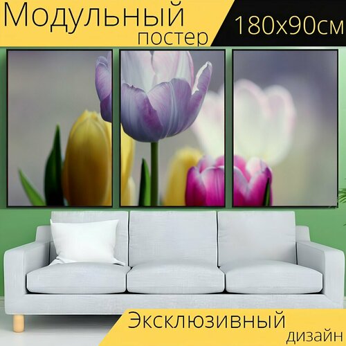 Модульный постер "Тюльпаны, букет тюльпанов, букет цветов" 180 x 90 см. для интерьера