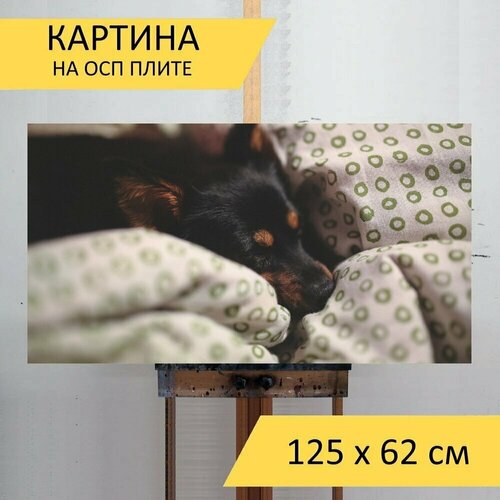 Картина на ОСП 125х62 см. "Собака, домашний питомец, животное" горизонтальная, для интерьера, с креплениями