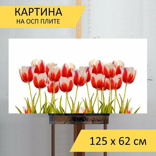 Картина на ОСП 125х62 см. "Тюльпаны, весна, природа" горизонтальная, для интерьера, с креплениями