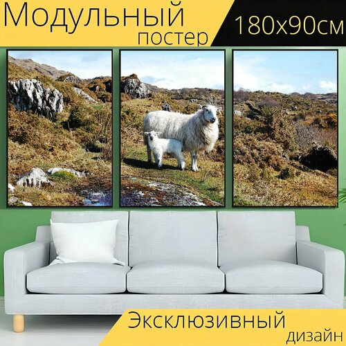 Модульный постер "Ягненок, овец, животные" 180 x 90 см. для интерьера