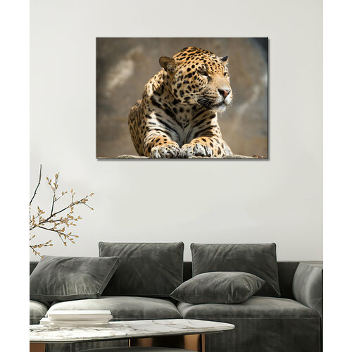Картина/Ягур/Ягуар в джунглях/Ягуар на дереве/Черный ягуар/ - Ягуар (14) 50х70