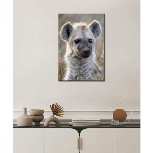 Картина - гиена, гиена в африке, хищная гиена, дикая гиена, гиена в природе (2) 50х70