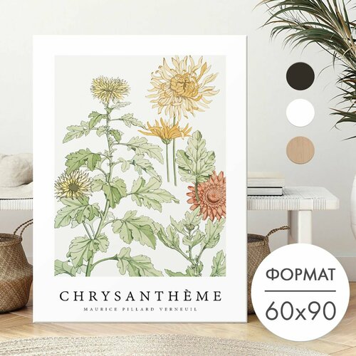 Плакат Постер 60х90 без рамки "Хризантемы цветы иллюстрация" для интерьера