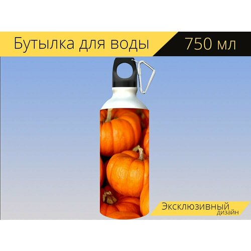 Бутылка фляга для воды "Тыква, тыквы, давить" 750 мл. с карабином и принтом