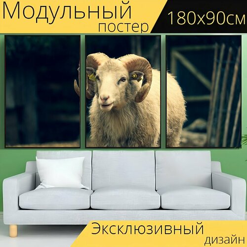 Модульный постер "Овец, рога, животное" 180 x 90 см. для интерьера