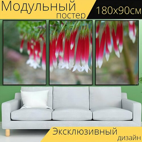 Модульный постер "Ботанический, весна, сад" 180 x 90 см. для интерьера