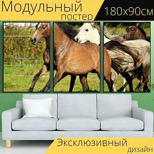 Модульный постер "Лошадь, стадо, галопом" 180 x 90 см. для интерьера