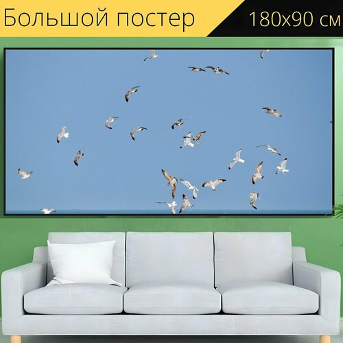 Большой постер "Чайки, летящей чайки, море" 180 x 90 см. для интерьера