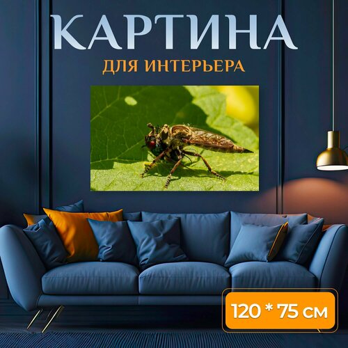 Картина на холсте "Хищник муха, природа, насекомое" на подрамнике 120х75 см. для интерьера