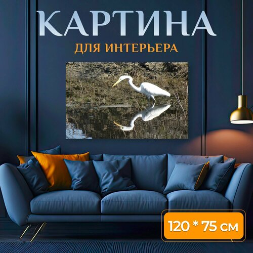 Картина на холсте "Птица, большая белая цапля, отражение" на подрамнике 120х75 см. для интерьера