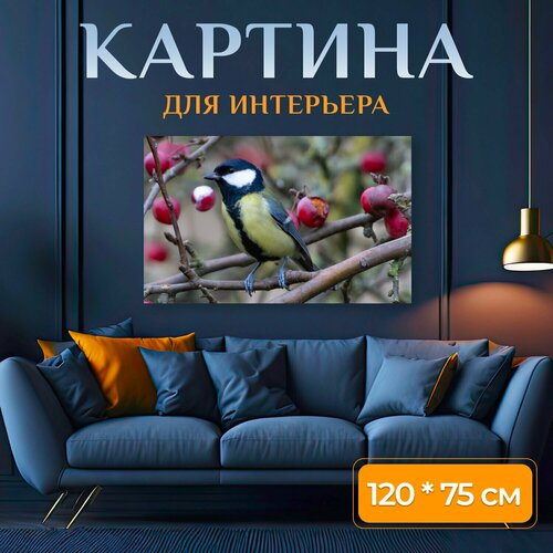 Картина на холсте "Птица, черная синица, перья" на подрамнике 120х75 см. для интерьера