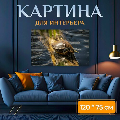 Картина на холсте "Черепаха, загорать, вода" на подрамнике 120х75 см. для интерьера