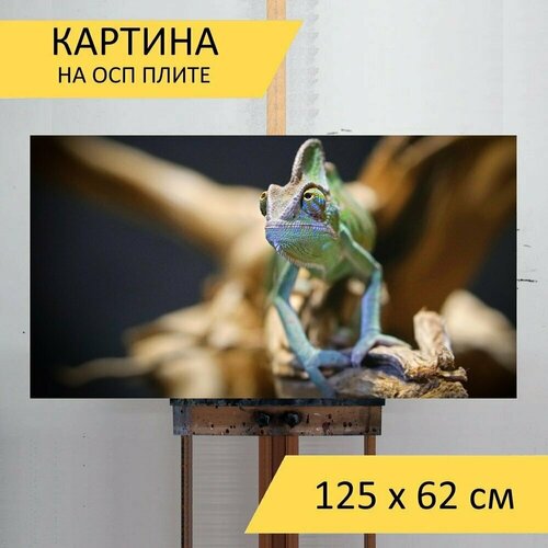 Картина на ОСП 125х62 см. "Хамелеон, рептилия, ящерица" горизонтальная, для интерьера, с креплениями