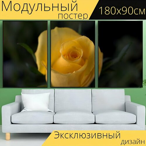 Модульный постер "Роза, любовь, желтый" 180 x 90 см. для интерьера
