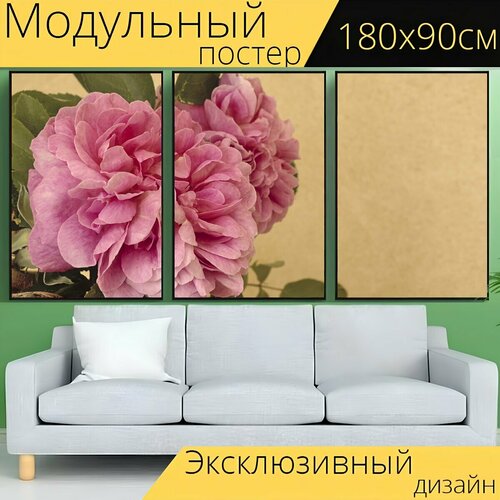 Модульный постер "Роза, цвести, душистые роуз" 180 x 90 см. для интерьера