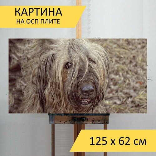 Картина на ОСП 125х62 см. "Собака, домашнее животное, милый" горизонтальная, для интерьера, с креплениями