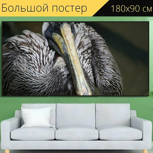 Большой постер "Белиз, пеликан, дикая природа" 180 x 90 см. для интерьера