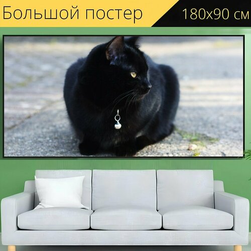 Большой постер "Кошка, черный кот, чернить" 180 x 90 см. для интерьера