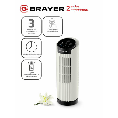 Настольный вентилятор BRAYER BR4979