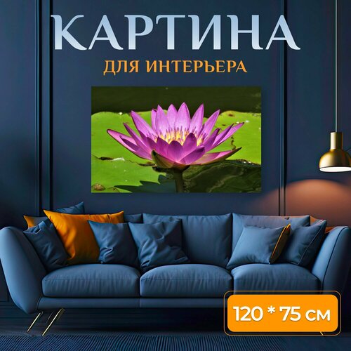 Картина на холсте "Лотос, цветок, пруд" на подрамнике 120х75 см. для интерьера