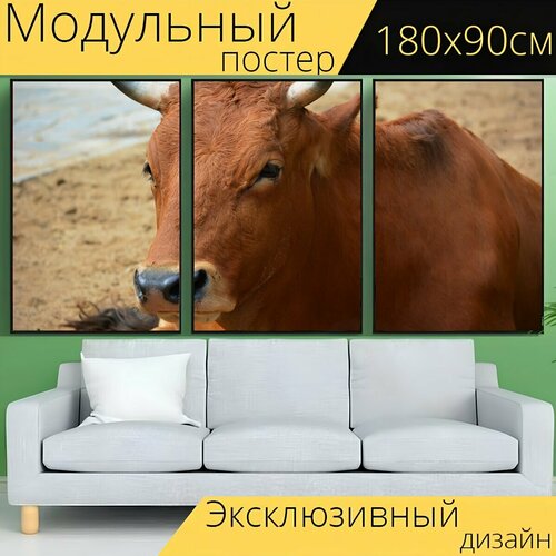 Модульный постер "Корова, бык, голова" 180 x 90 см. для интерьера