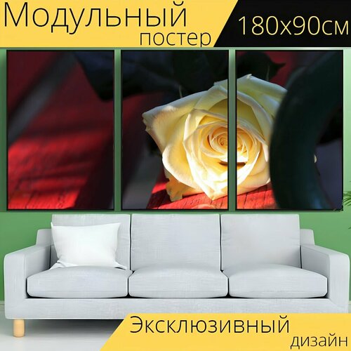 Модульный постер "Желтые розы на красном стенде, роза один, цветок" 180 x 90 см. для интерьера