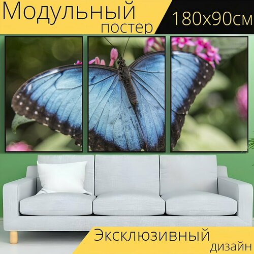 Модульный постер "Бабочка, синий, природа" 180 x 90 см. для интерьера