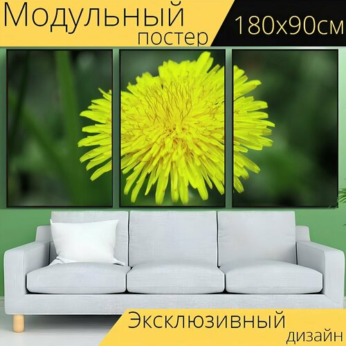 Модульный постер "Природа, цветок, желтый" 180 x 90 см. для интерьера