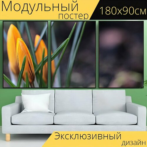 Модульный постер "Сад, весна, крокусы" 180 x 90 см. для интерьера