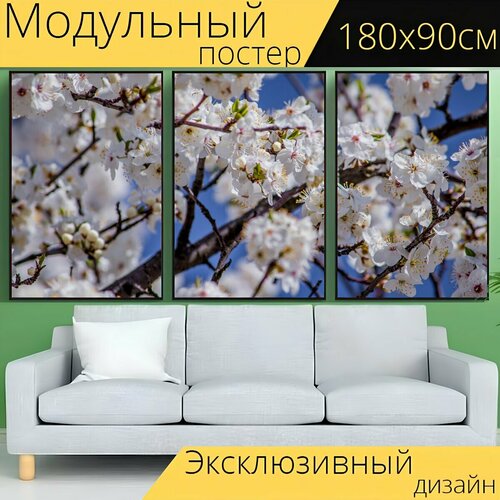 Модульный постер "Цветы, весна, опыление" 180 x 90 см. для интерьера
