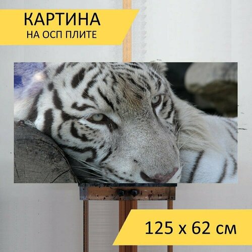 Картина на ОСП 125х62 см. "Тигр, белый, лицо" горизонтальная, для интерьера, с креплениями